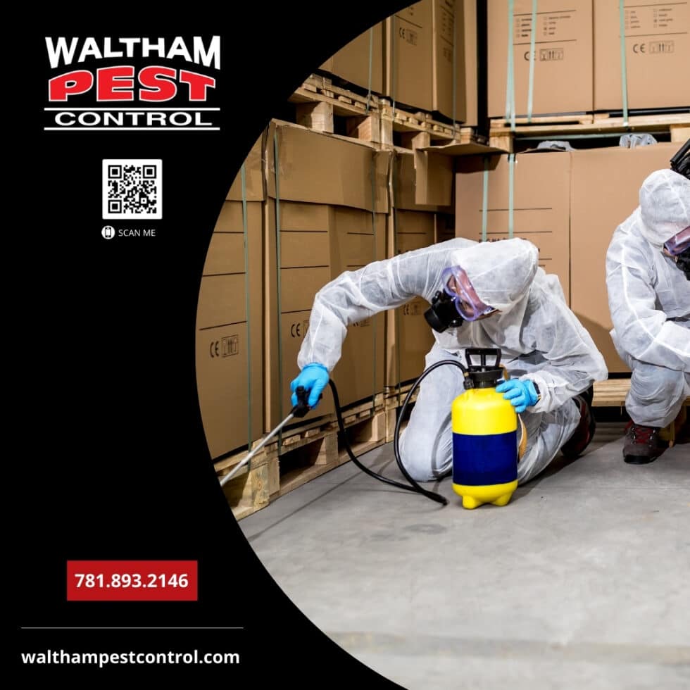 Pest Control Technicians: 7 Proven Tips for Success 2025